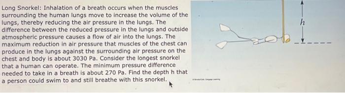 Solved Long Snorkel: Inhalation of a breath occurs when the | Chegg.com