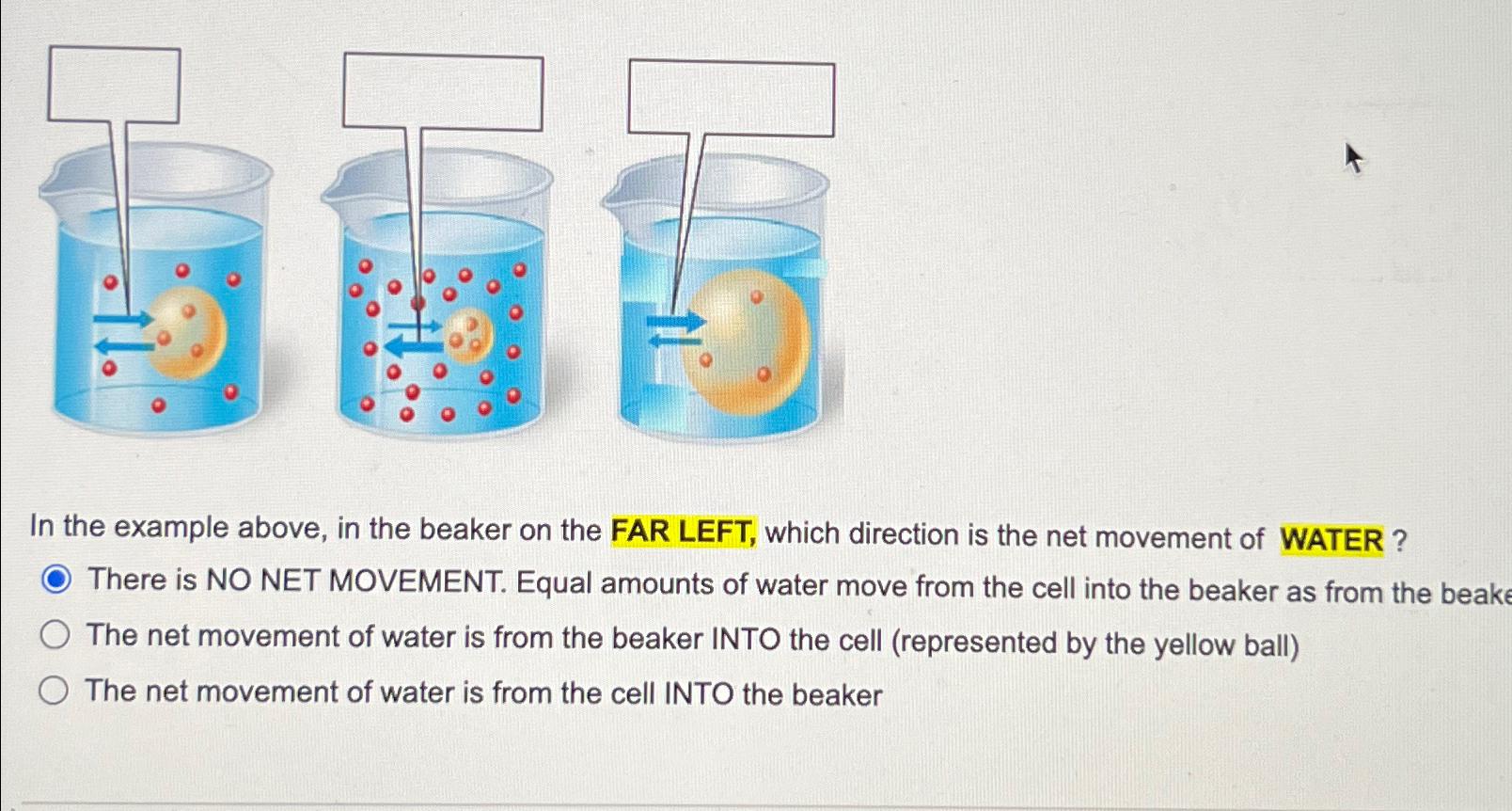 Solved In the example above, in the beaker on the FAR LEFT, | Chegg.com