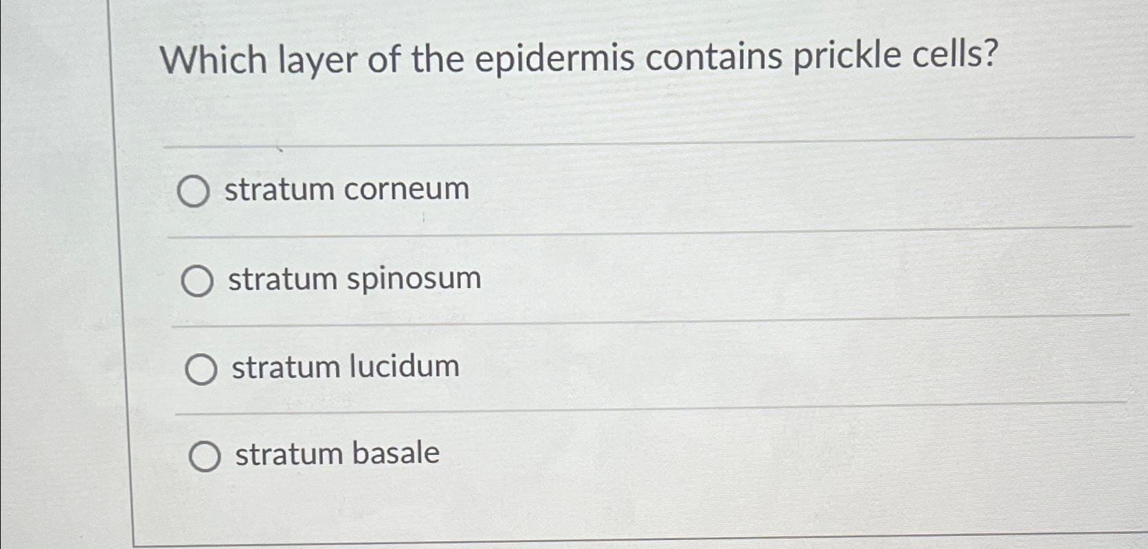 Solved Which layer of the epidermis contains prickle | Chegg.com