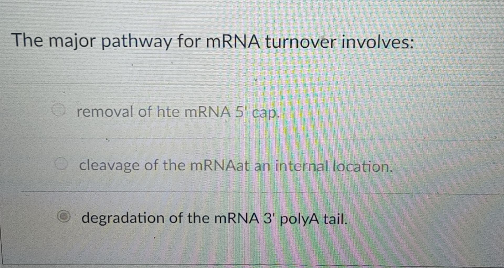 The major pathway for mRNA turnover involves:removal | Chegg.com