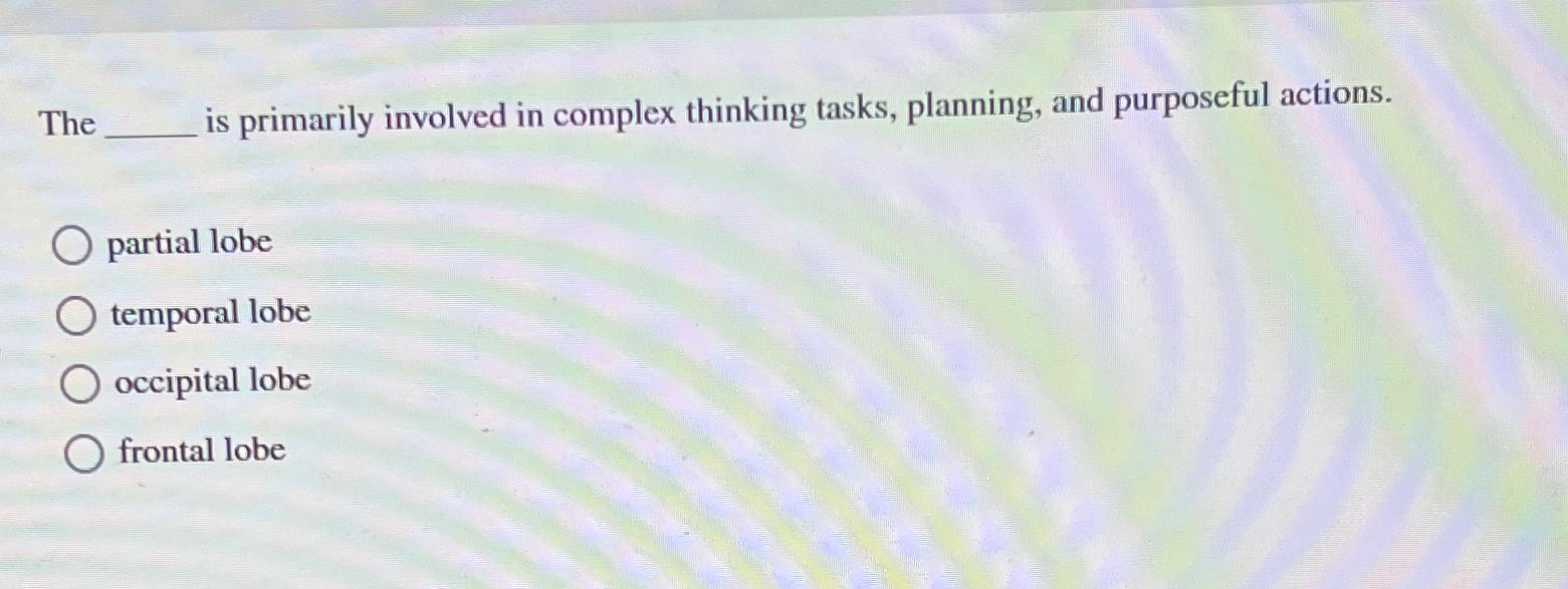 Solved The is primarily involved in complex thinking tasks, | Chegg.com