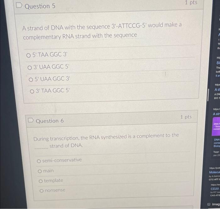 Solved A strand of DNA with the sequence 3′-ATTCCG-5' would | Chegg.com