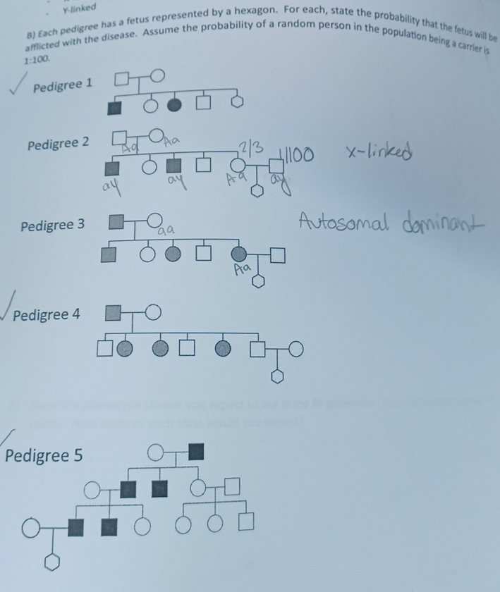 Solved B) ﻿Each pedigree has a fetus represented by a | Chegg.com