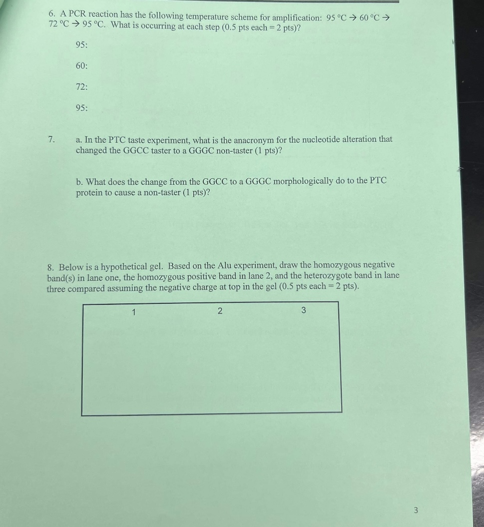 Solved A PCR reaction has the following temperature scheme | Chegg.com
