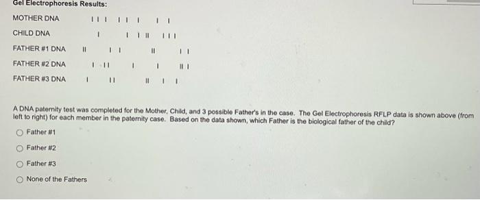 Solved Gel Electrophoresis Results: A DNA paternity test was | Chegg.com