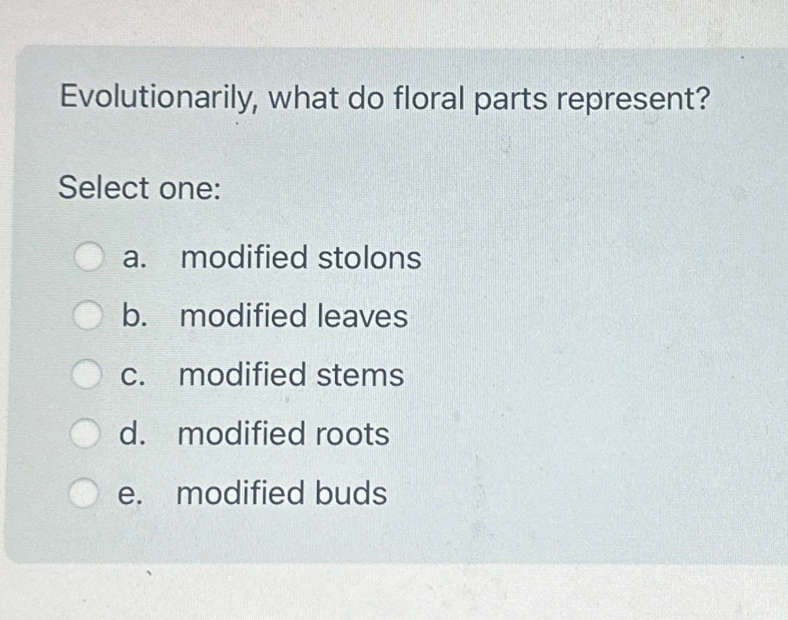 Solved Evolutionarily, what do floral parts represent?Select | Chegg.com