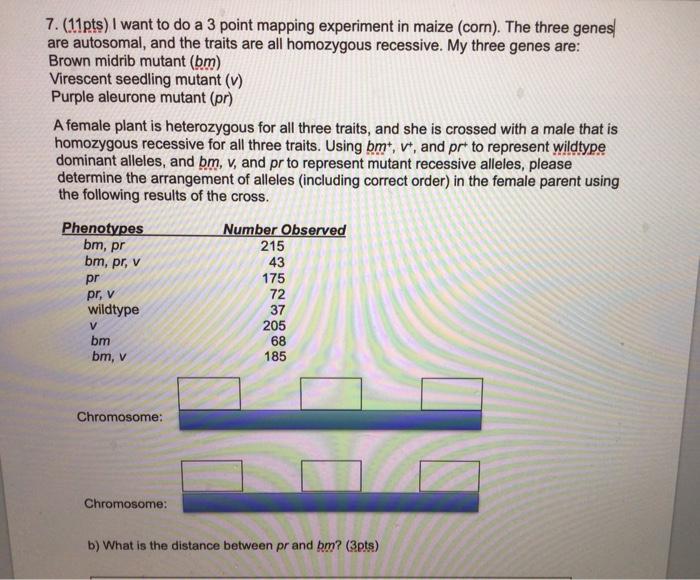 Solved 7. (11pts) I want to do a 3 point mapping experiment | Chegg.com