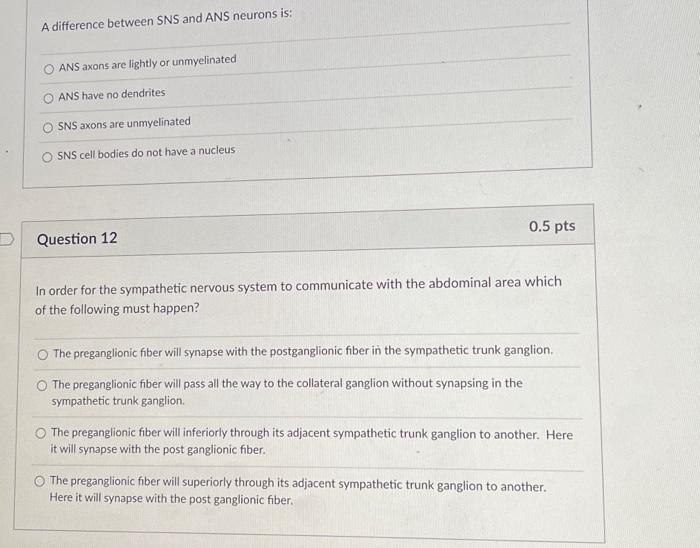 Solved Select the correct statements. Short-term memory | Chegg.com