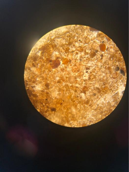 Solved Create a graph, chart, and point the key features of | Chegg.com