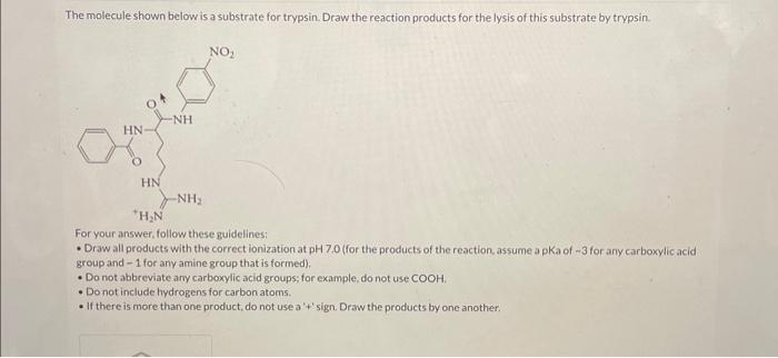 Solved The molecule shown below is a substrate for trypsin. | Chegg.com