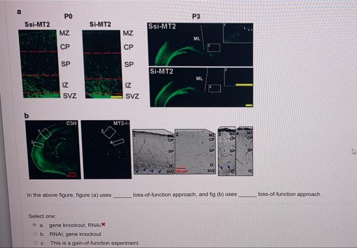 Solved b Fluorescence Intensity (AU) 300 Fluorescence | Chegg.com