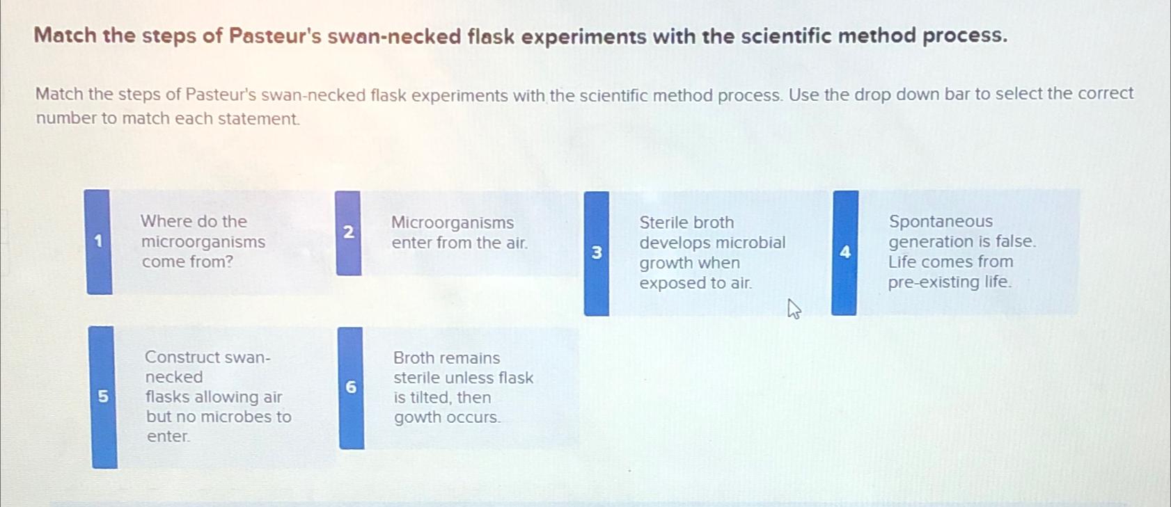 Solved Match the steps of Pasteur's swan-necked flask | Chegg.com