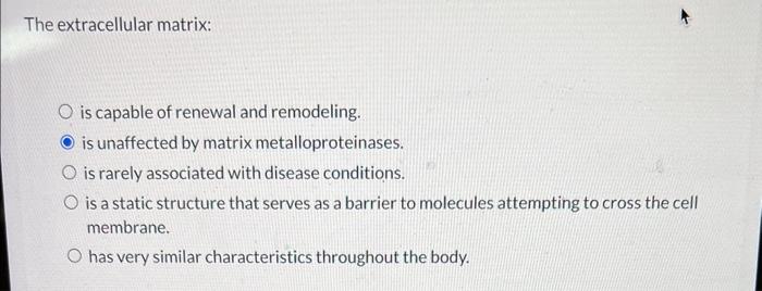 Solved Epithelial tissues consist of extracellular | Chegg.com