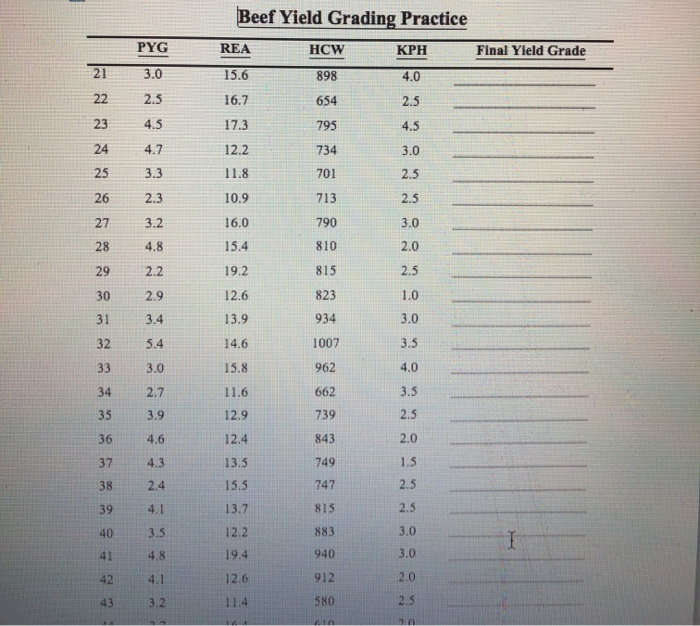 Solved Beef Yield Grading Practice PYG HCW KPH Final Yield | Chegg.com