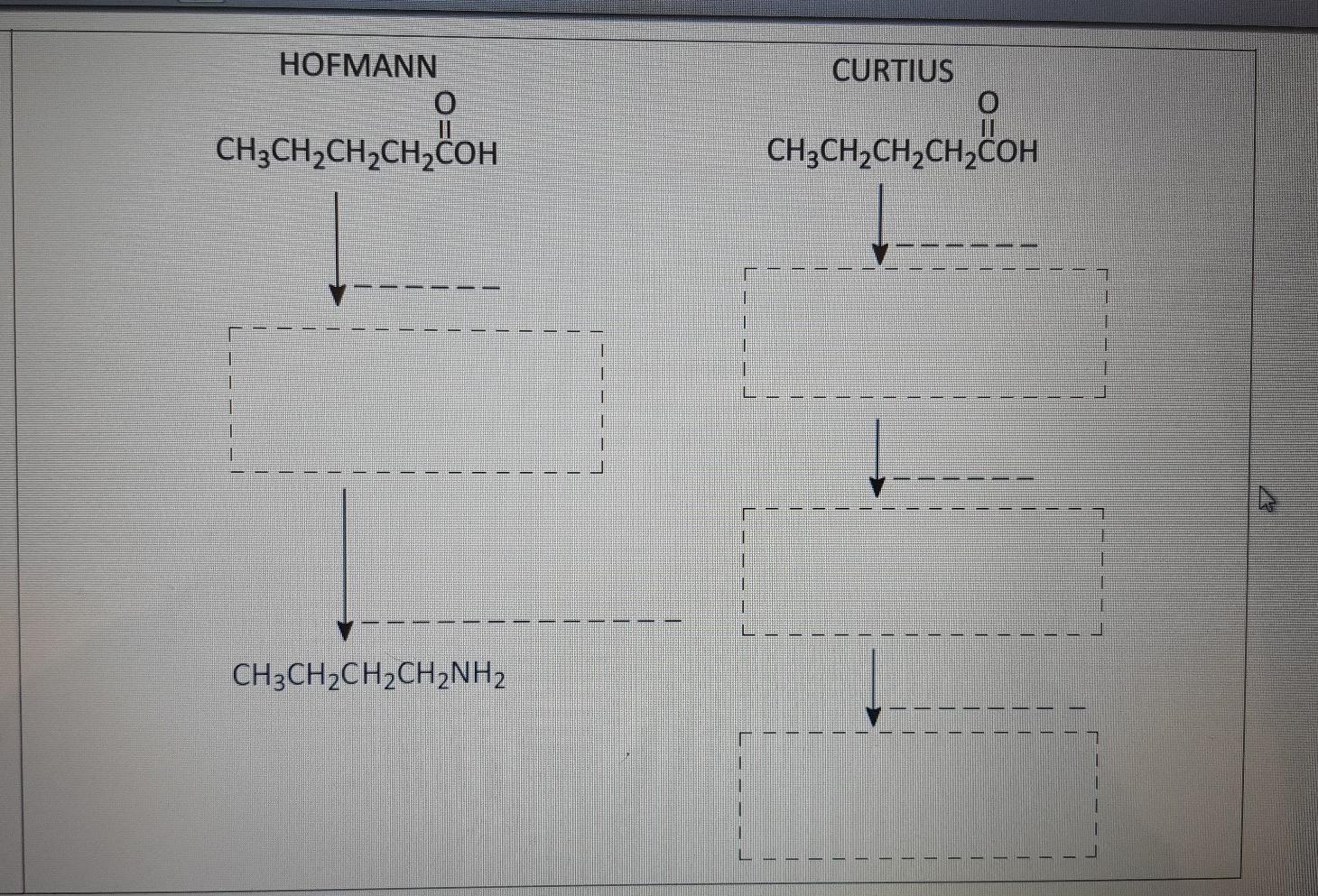 Solved Name the following amines: (a) CH3CH2NHCH3 (b) (c) | Chegg.com