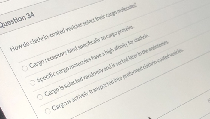 Solved Question 34 How do clathrin-coated vesicles select | Chegg.com