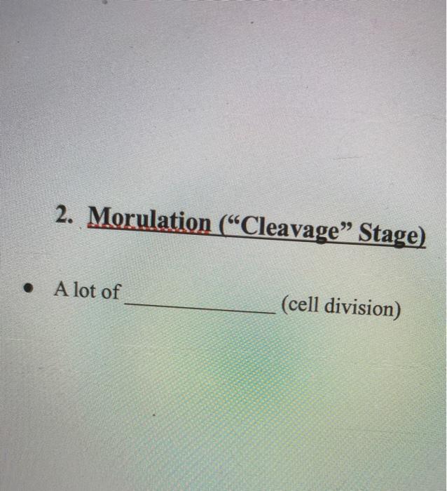 Solved 2. Morulation (“Cleavage” Stage) • A lot of (cell | Chegg.com