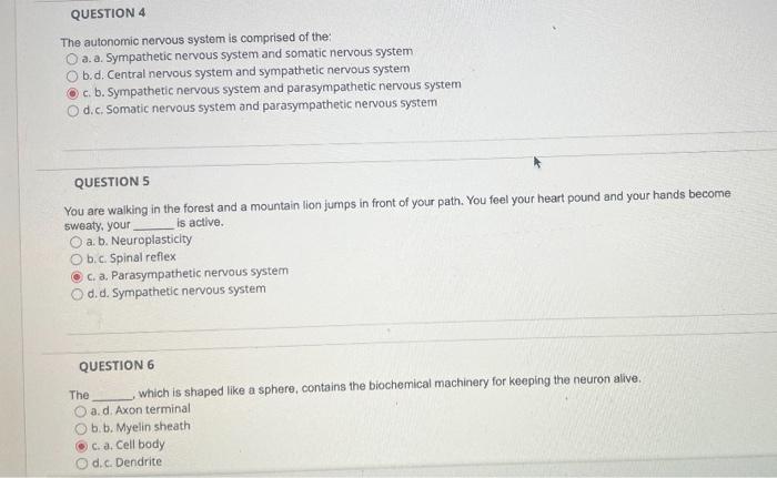 Solved The autonomic nervous system is comprised of the: a. | Chegg.com