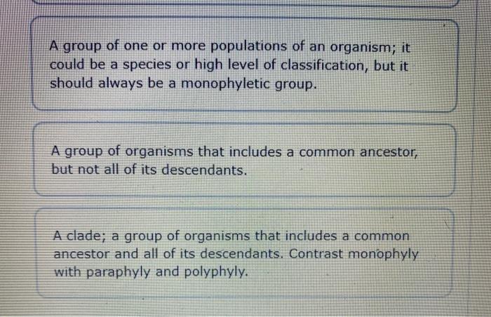 Solved Homology Analogy Convergent evolution Monophyletic | Chegg.com