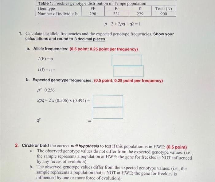 Solved p2+2pq+q2=1 1. Calculate the allele frequencies and | Chegg.com