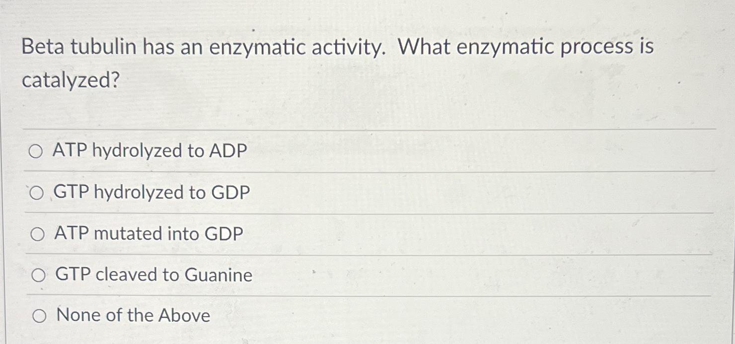 Solved Beta tubulin has an enzymatic activity. What | Chegg.com
