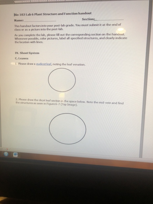 Solved Bio 102 Lab 6 Plant Structure and Function handout | Chegg.com