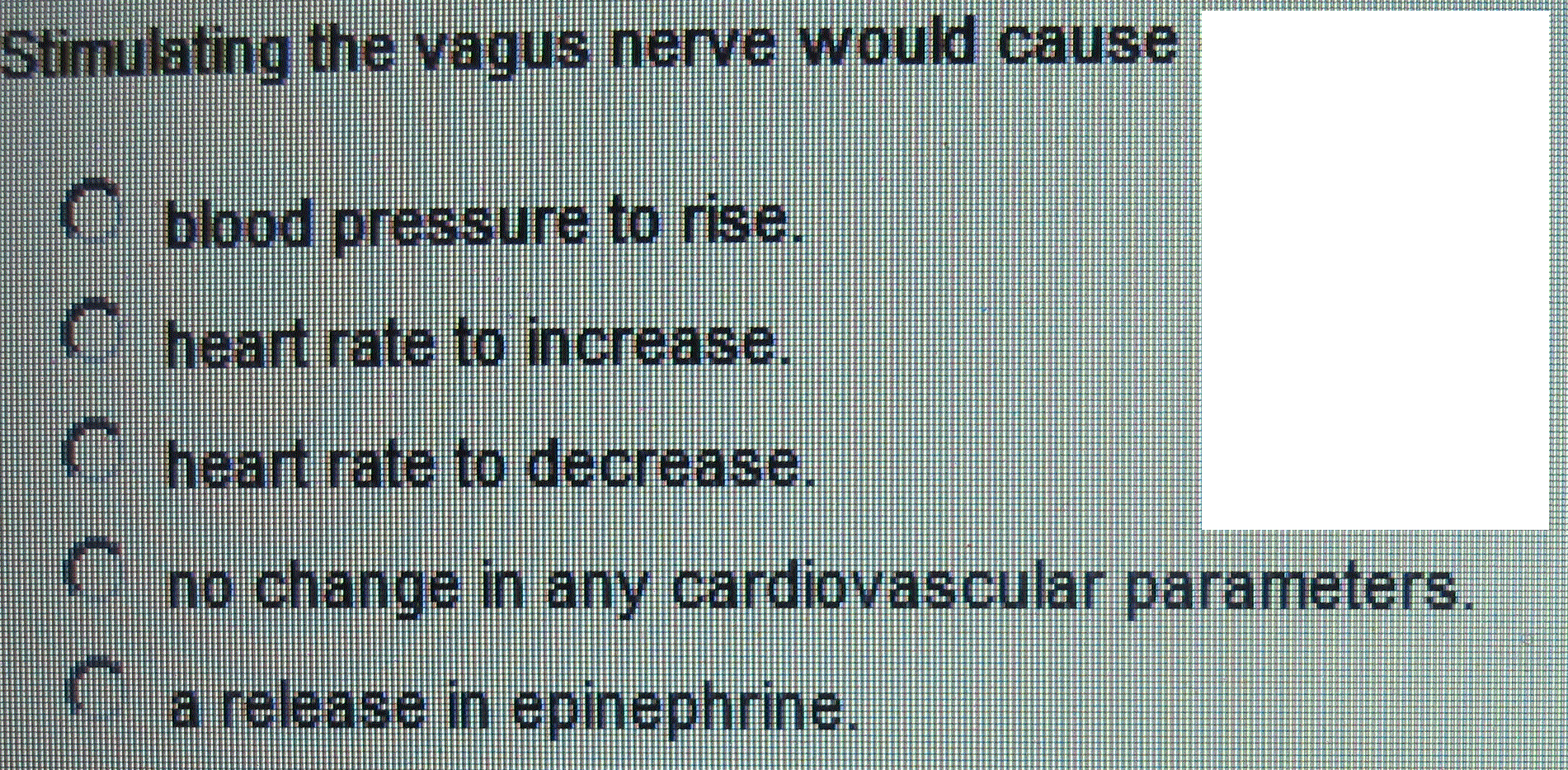 Solved Stimulating the vagus nerve would cause blood | Chegg.com