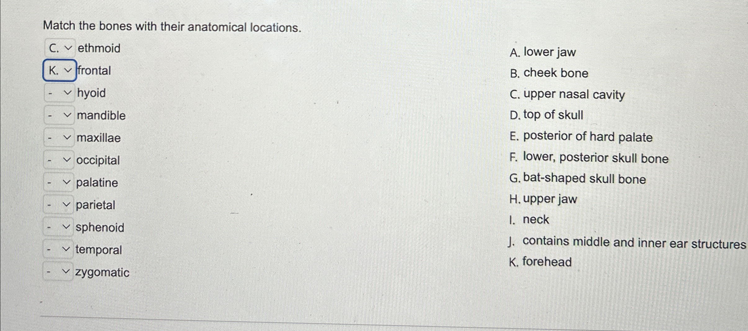 Match the bones with their anatomical locations.C. vv | Chegg.com
