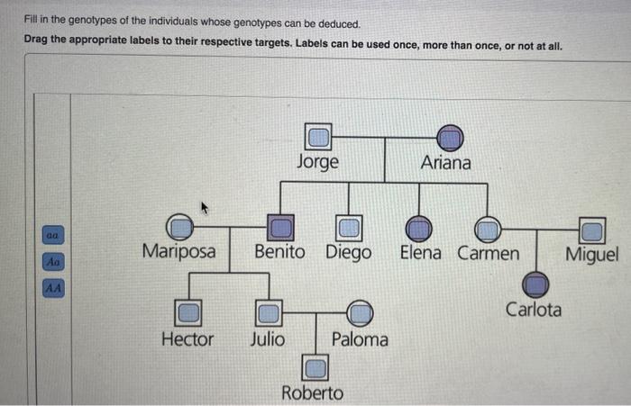 Solved Fill in the genotypes of the individuals whose | Chegg.com