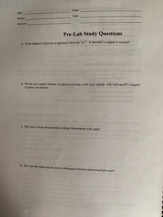 Solved Namc Team Date Section Instructor Pre-Lab Study | Chegg.com