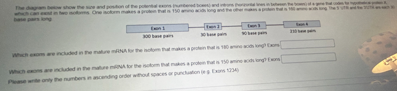 Solved The dagram below show the size and position of the | Chegg.com