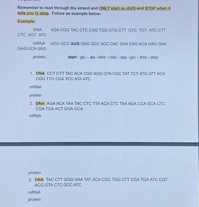 Solved protein 3. DNA TAC CTT GGG GAA TAT ACA CGC TGG CTT | Chegg.com