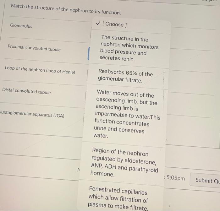Solved Match the structure of the nephron to its function | Chegg.com
