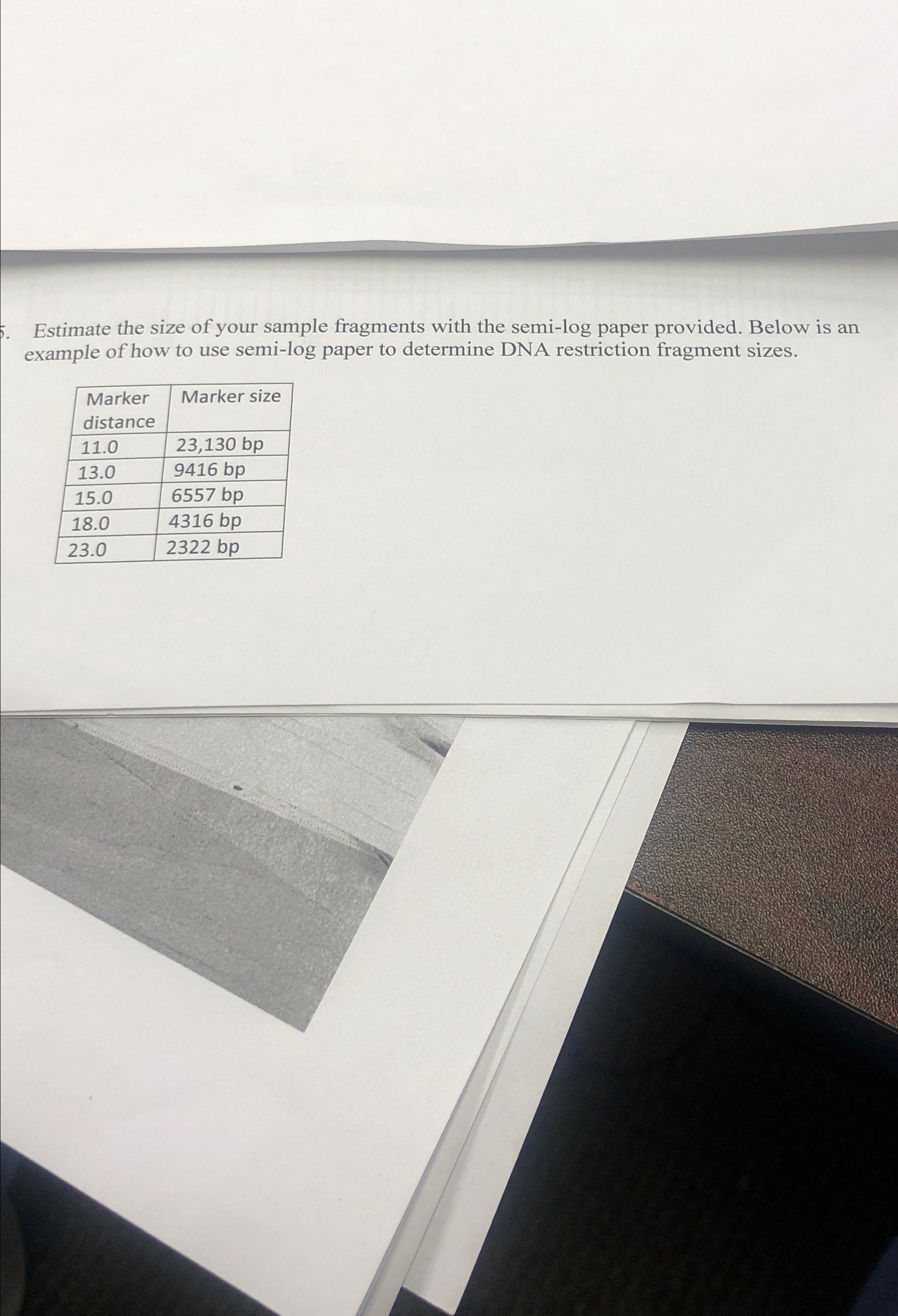 Solved Estimate the size of your sample fragments with the | Chegg.com