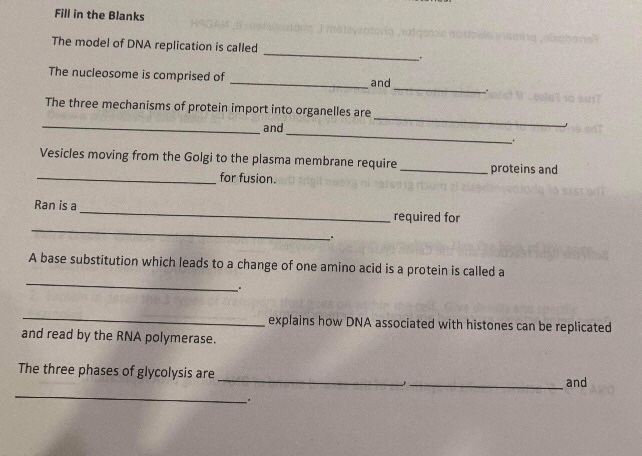 Solved Fill in the Blanks The model of DNA replication is | Chegg.com