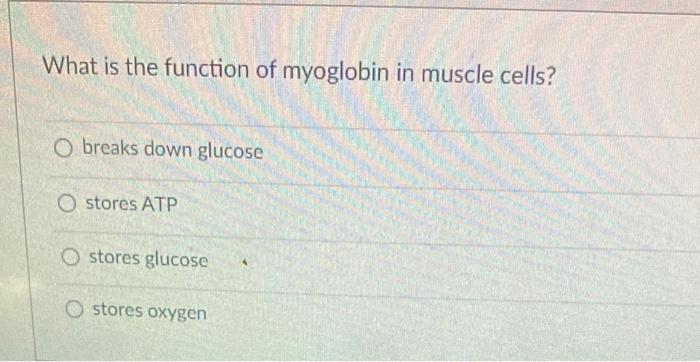 Solved True or False: The muscular system has functions as | Chegg.com