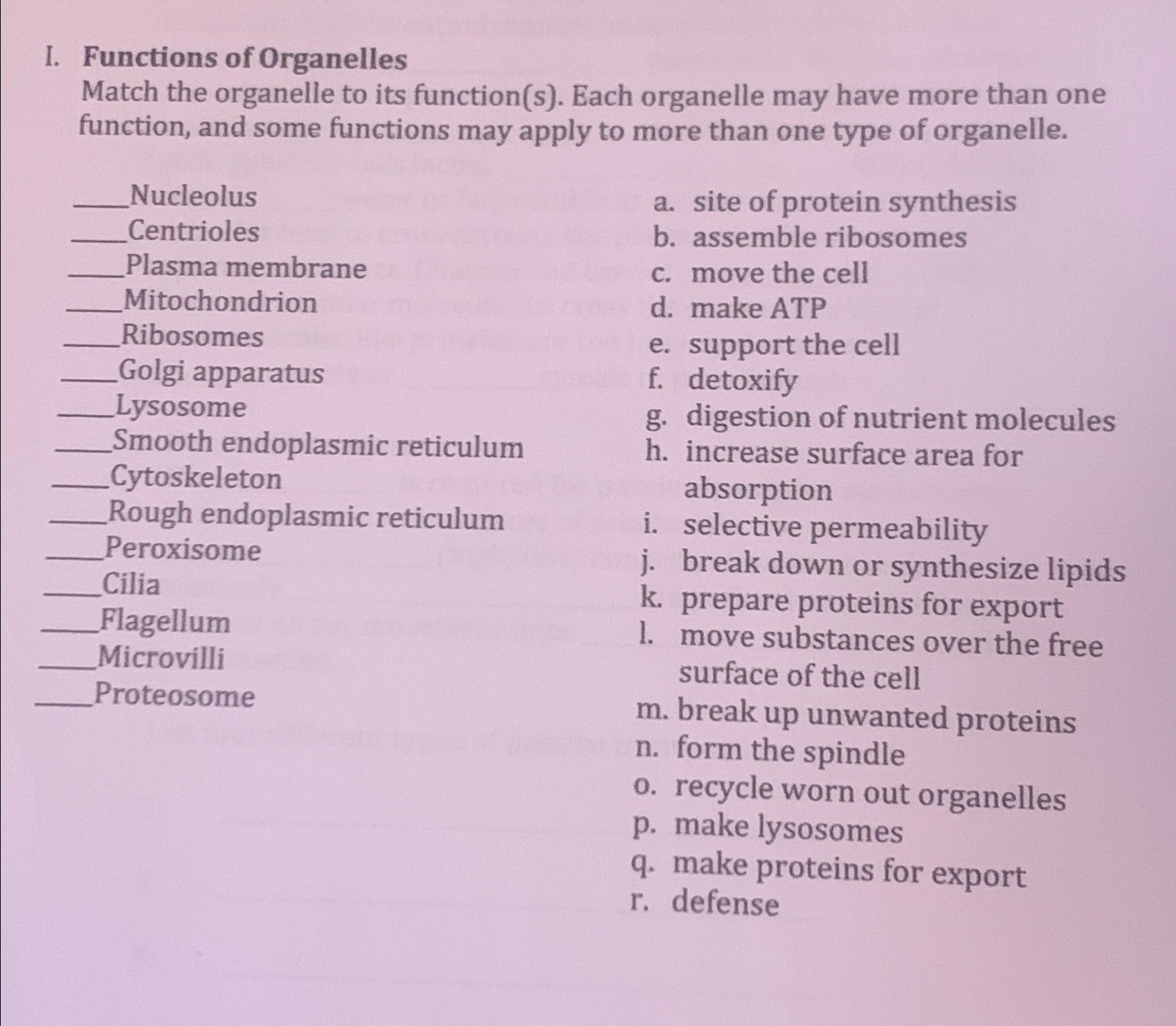 Solved I. Functions of OrganellesMatch the organelle to its | Chegg.com