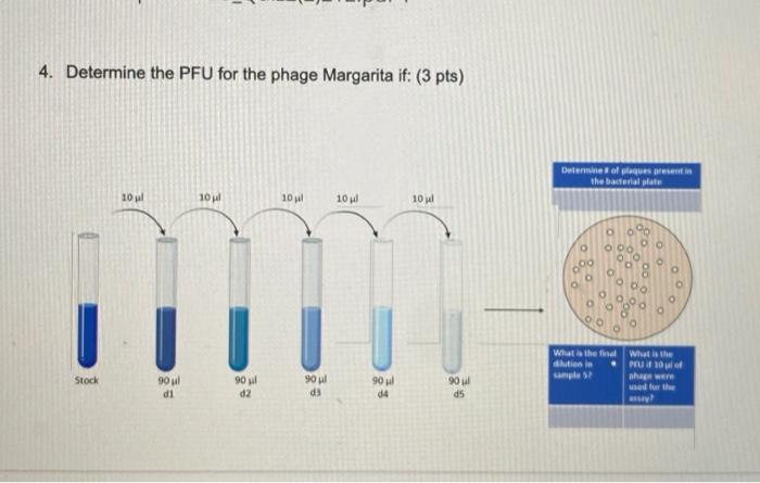This relates to Module 3: Amplification. Make sure to | Chegg.com