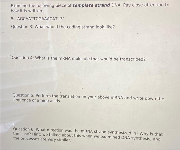 Solved Examine the following piece of template strand DNA. | Chegg.com