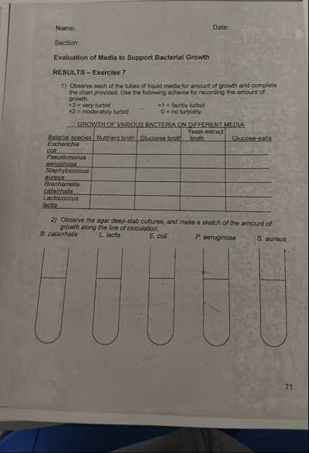 Solved Name:Date:Section:Evaluation of Media to Support | Chegg.com