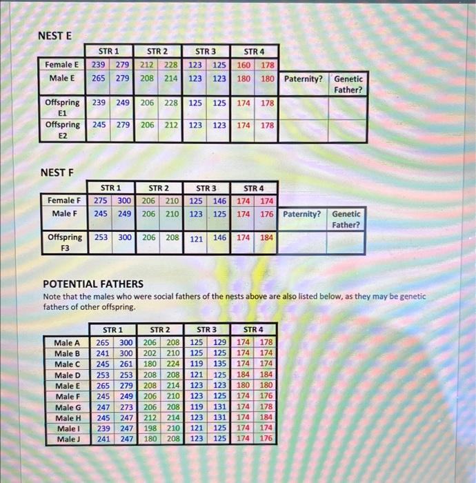 The tables in the Paternity Testing worksheet ↓ give | Chegg.com