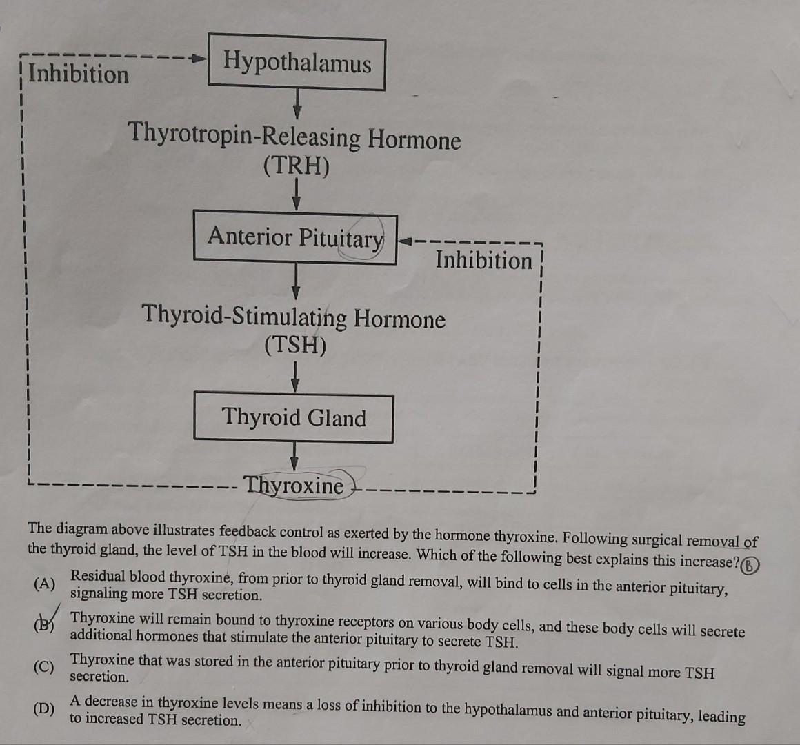 Solved The diagram above illustrates feedback control as | Chegg.com