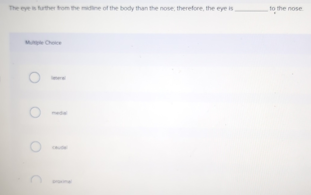Solved The eye is further from the midline of the body than | Chegg.com