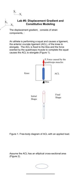 Lab #6: Displacement Gradient and Constitutive | Chegg.com
