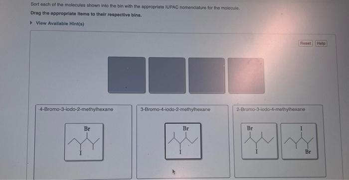 Solved Sort oach of the molecules shown into the bin with | Chegg.com
