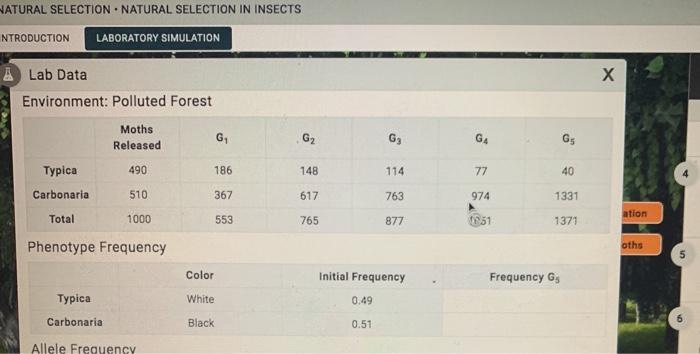 NATURAL SELECTION. NATURAL SELECTION IN INSECTS | Chegg.com