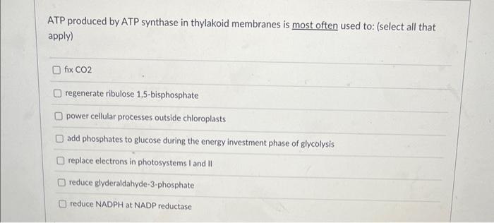 Solved ATP produced by ATP synthase in thylakoid membranes | Chegg.com