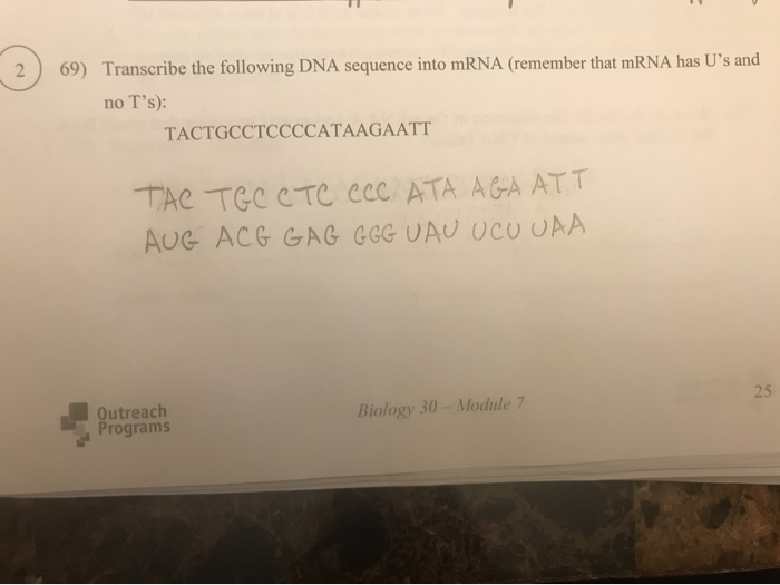 Solved 69) Transcribe the following DNA sequence into mRNA | Chegg.com