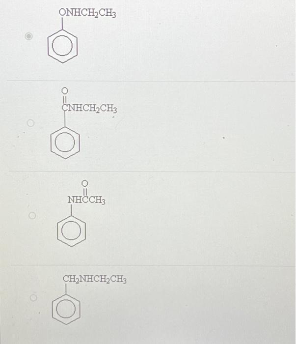 Solved H8Q8 The amide formed in the reaction of benzoic acid | Chegg.com