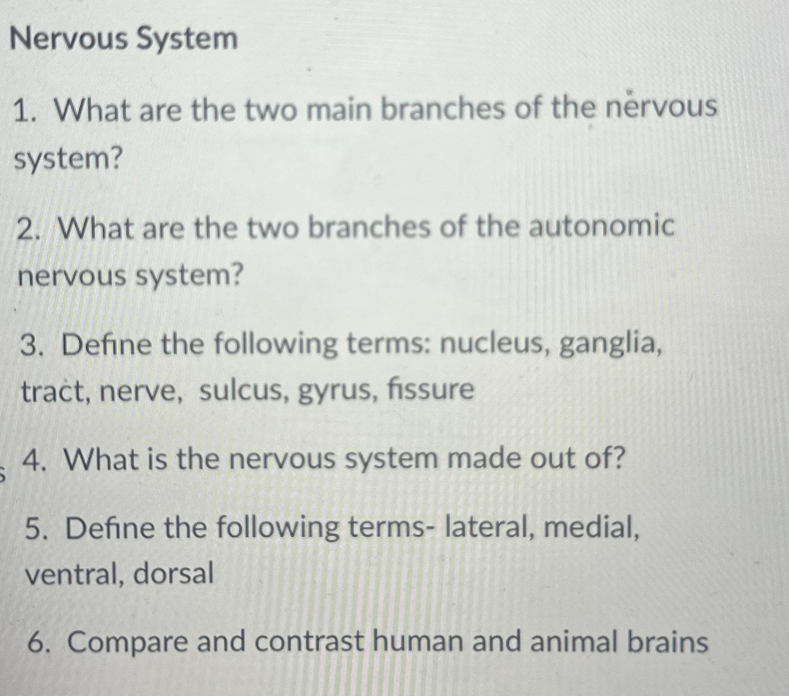 Solved Nervous SystemWhat are the two main branches of the | Chegg.com